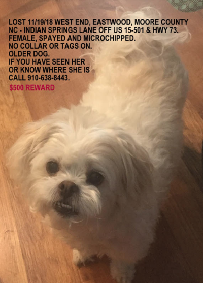 Lost Dog, White Chin-Poo in Eastwood UPDATE: FOUND | Pets | thepilot.com