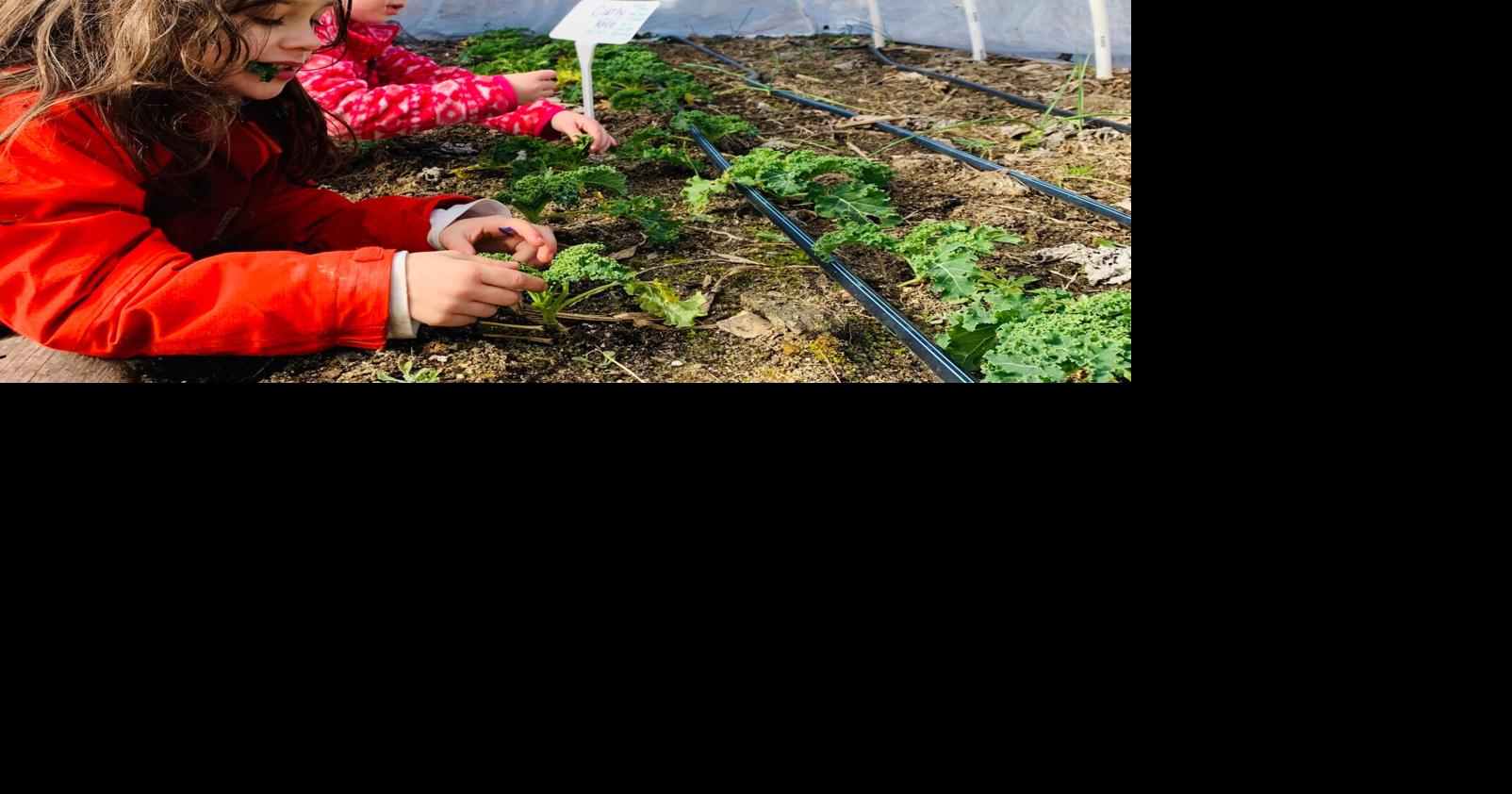 LadyBug Farm Mixes Learning and Nature | News | thepilot.com