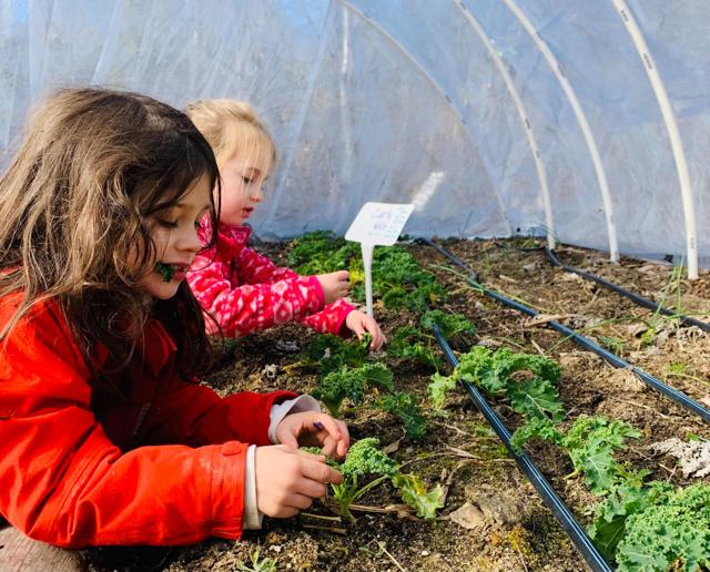LadyBug Farm Mixes Learning and Nature | News | thepilot.com