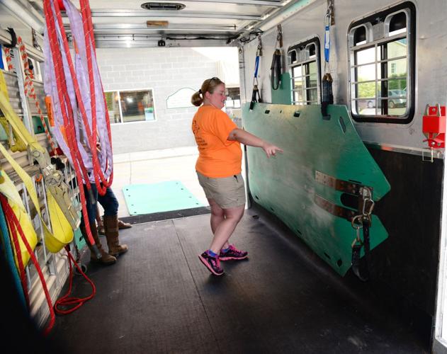 Equine Rescues | Multimedia | thepilot.com