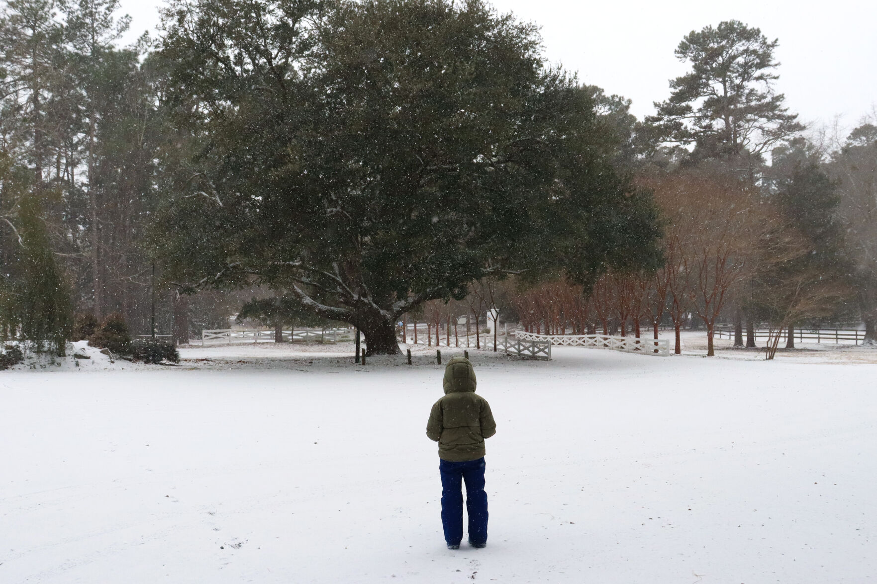 Southern Pines Snow Day | Multimedia | thepilot.com