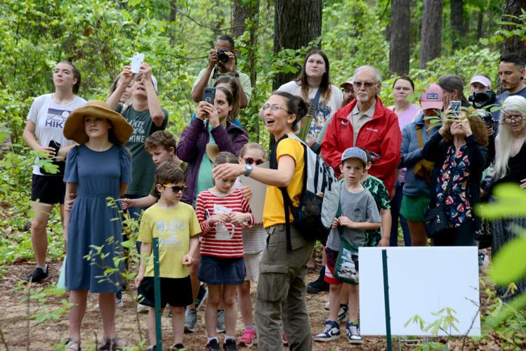 Party for the Pine 2024 | Gallery | thepilot.com