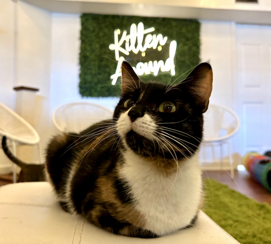 Pampered in the Pines | News | thepilot.com