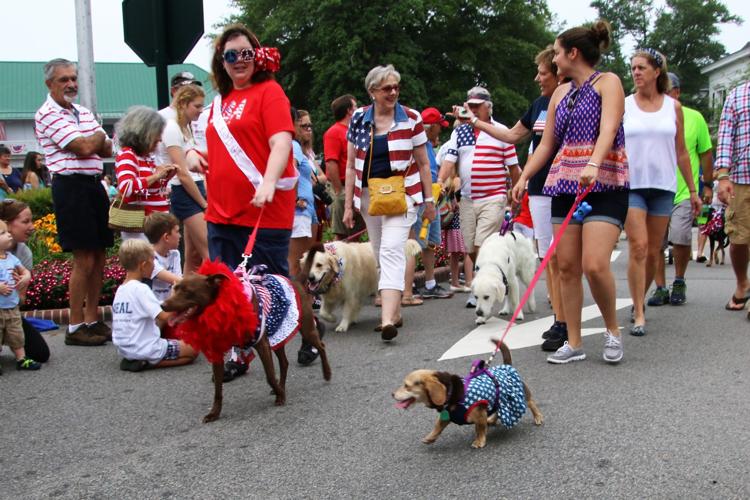Patriotic Pet Parade | Gallery | thepilot.com