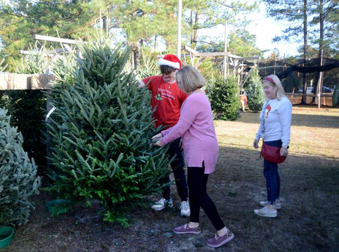 Christmas Tree Retailers Foresee a Jolly Season | News | thepilot.com