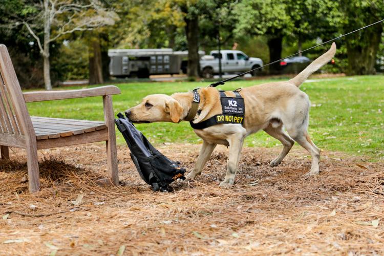 K2 Solutions Training Day | Multimedia | thepilot.com