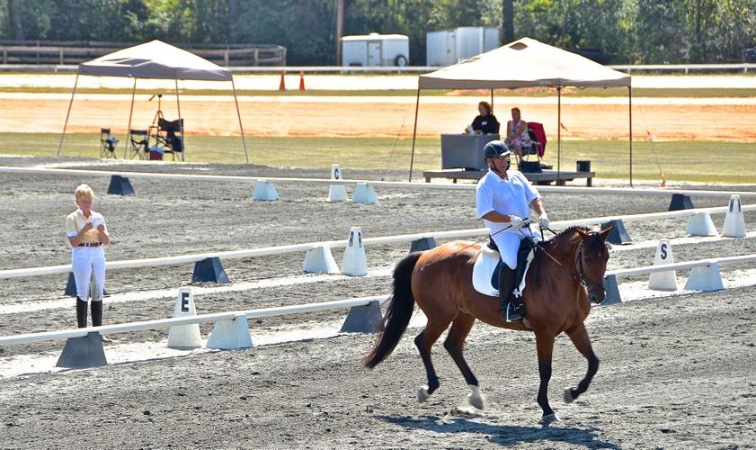 Pinehurst Fall Dressage Show | Multimedia | thepilot.com