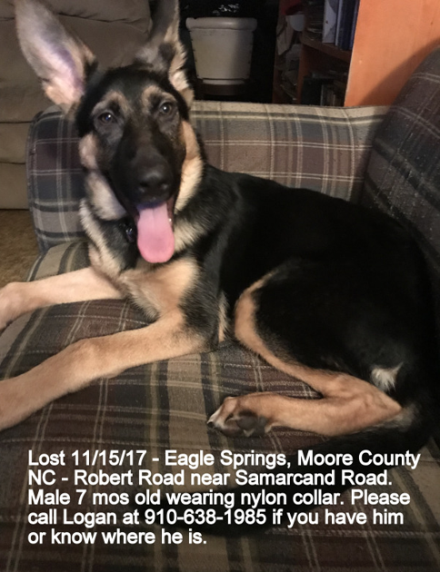 Lost Dog, German Shepherd in Eagle Springs UPDATE: FOUND | Pets ...