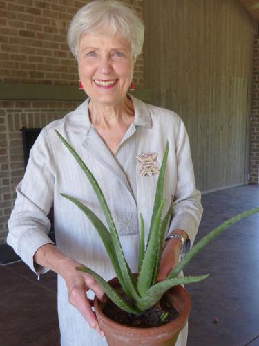 Garden Club of the Sandhills Celebrates 50 Years | Features | thepilot.com
