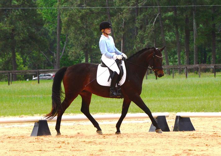 CHP Hosts Prime Time Dressage | Sports | thepilot.com