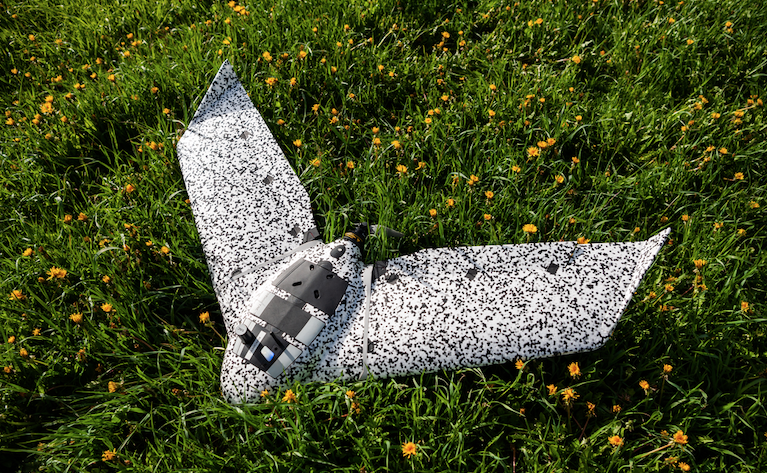 Tough Stump: The Blockbuster "To See It Is To Believe It - Maybe ...