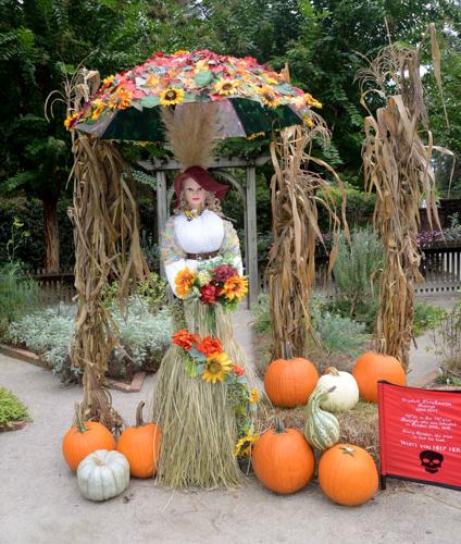 Winners Announced for Scarecrow Stroll | News | thepilot.com