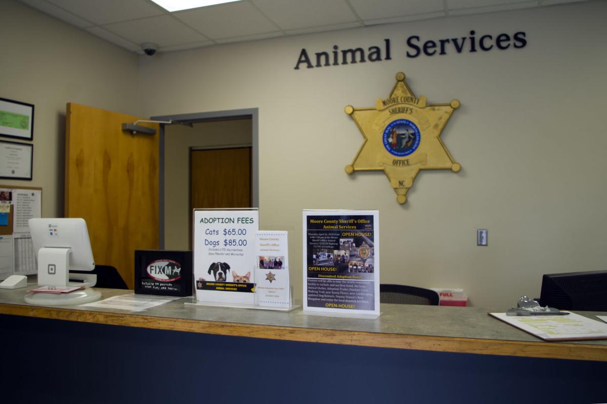A Look Inside the Moore County Animal Services Center | Gallery ...