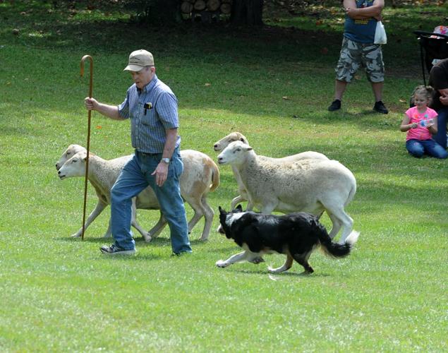 Malcolm Blue Fest Pays Tribute to Farm Heritage | Gallery | thepilot.com