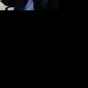 Harvey Morse | Obituaries | thepilot.com