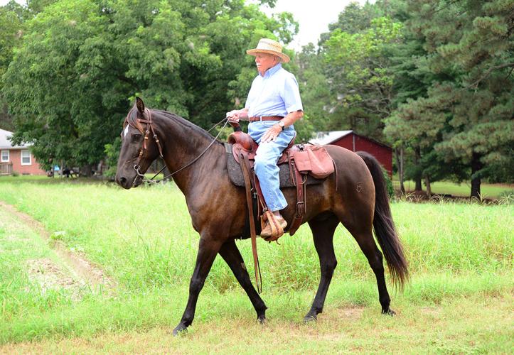 'Yes' Training: Changing Your Horse's Point of View | Sports | thepilot.com