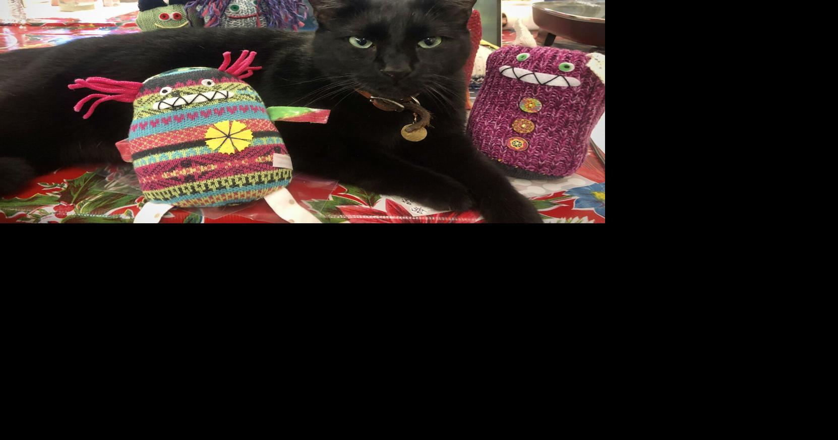 ARTworks Vass’ First Ever Last Chance Sale and Final Friday | Features ...