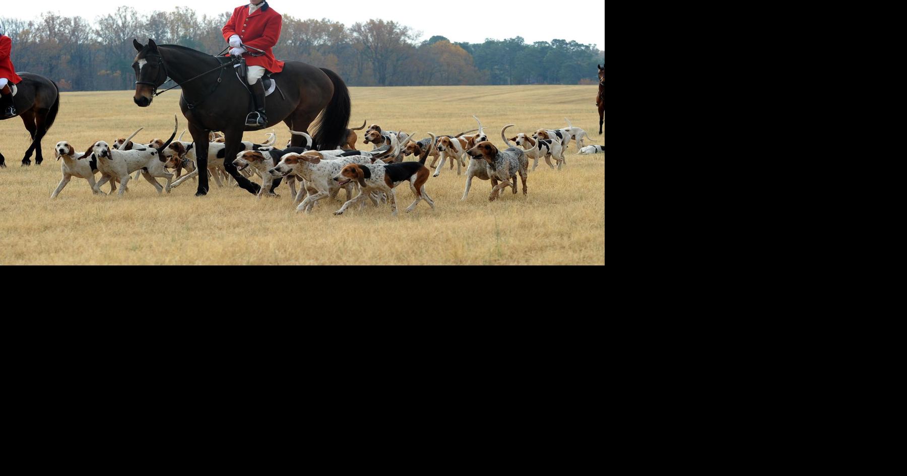 2016 Blessing of the Hunt and Hounds | Gallery | thepilot.com