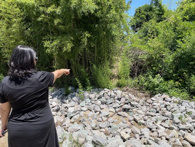 Town Uses Grant Money to Mitigate Stormwater Damage | News | thepilot.com