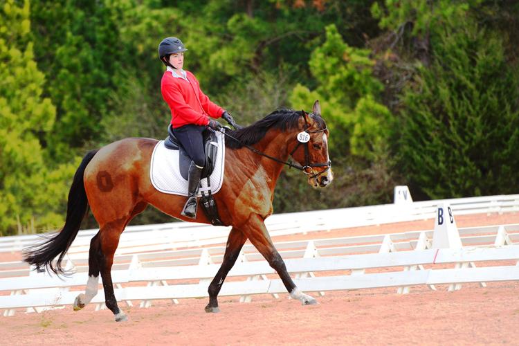 Carolina Horse Park 2017 Season Opens | Sports | thepilot.com
