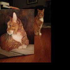 SCC Con Ed | Features | thepilot.com