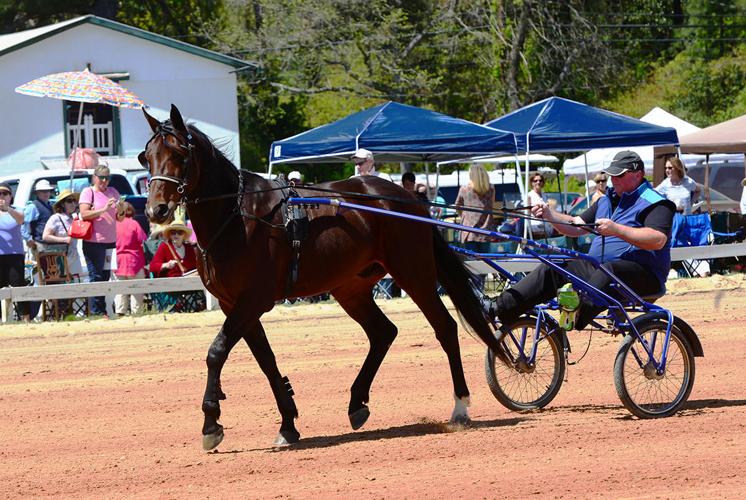 A Day at the Races | Sports | thepilot.com