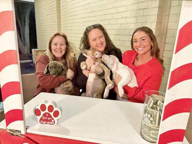 Caring Hearts for Gala 'Fur-Ever Gala' | Gallery | thepilot.com