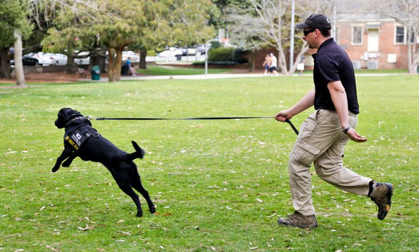 K2 Solutions Training Day | Multimedia | thepilot.com