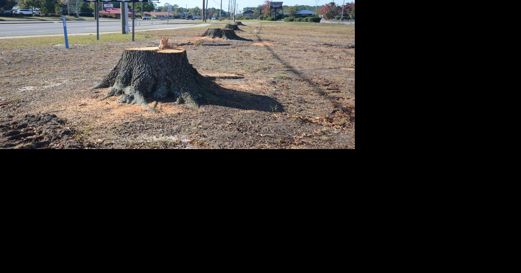 Tree Clearing Underway for Road Projects | News | thepilot.com