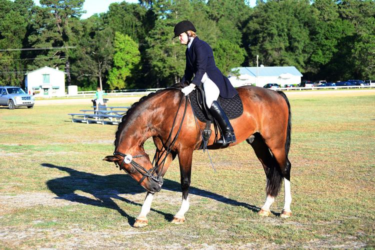 Swat and Sweat Finale – Cool Down Dressage | Sports | thepilot.com