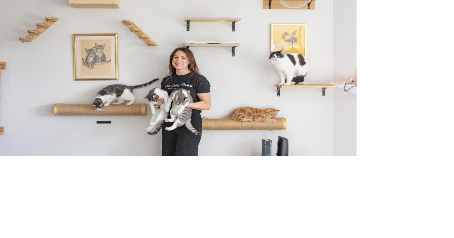 New Salon Sheds Light on Cat Grooming | Business | thepilot.com