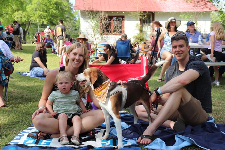 Blue and Brews at Malcolm Blue Farm | Gallery | thepilot.com