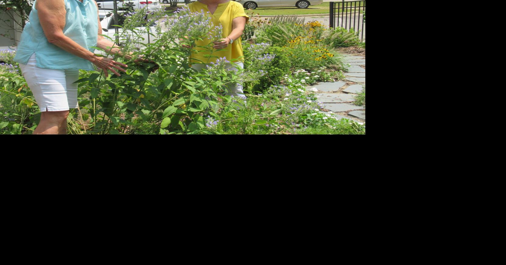 County's Master Gardeners Program Celebrates 30 Years | Features ...