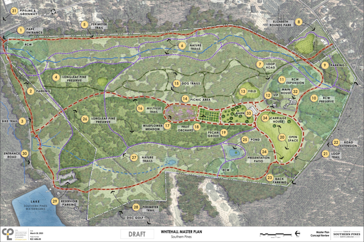 Town Council Approves Whitehall Master Plan | News | thepilot.com
