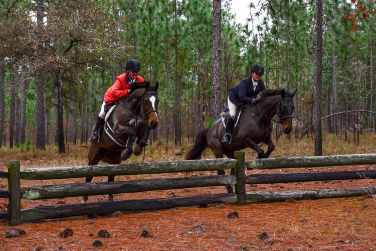 Blessing of the Hounds 2020 | Gallery | thepilot.com