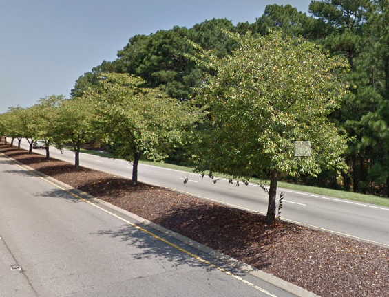 New Trees Coming to Two Moore County Medians | News | thepilot.com