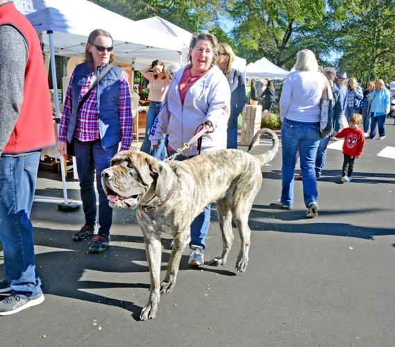 Holly Arts & Crafts Festival Pinehurst | Gallery | thepilot.com