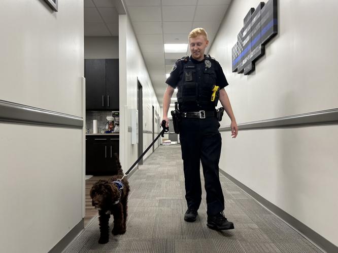 Aberdeen PD Adds K9 With Different Role | News | thepilot.com