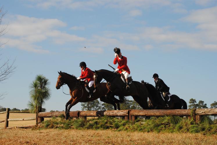 Annual Blessing of the Hounds and Hunt | Multimedia | thepilot.com