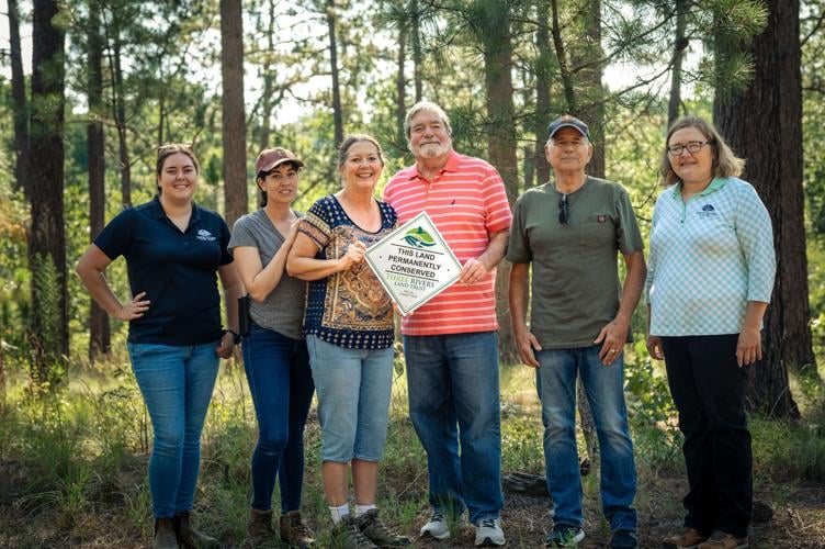 Three Rivers Land Trust Protects 195 Acres on Drowning Creek | News ...