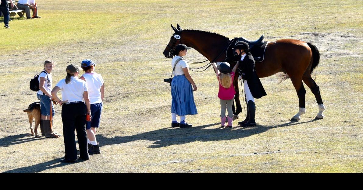Pinehurst Fall Dressage Show | Multimedia | thepilot.com