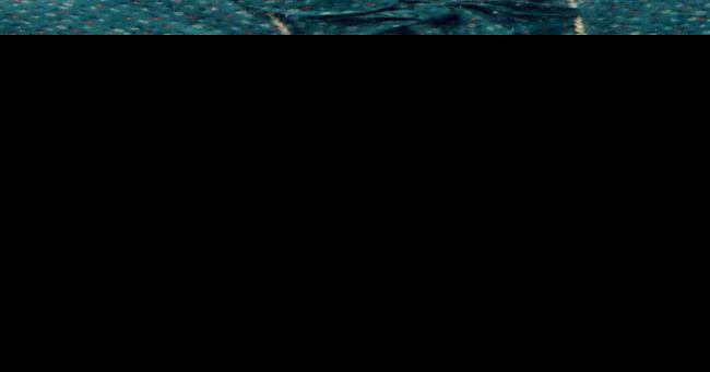 Eleanor A. Irvin | Obituaries | thepilot.com