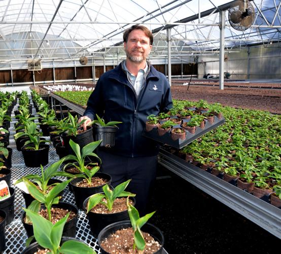 Life in the Garden Keeps Them in the Green | Features | thepilot.com
