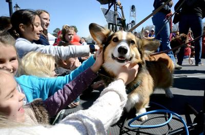 Sandhills Dog Fair Adds Dog Dash | Pets | thepilot.com