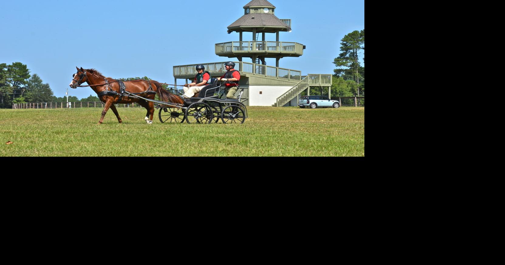 Moore County Driving Club Combined Event | Multimedia | thepilot.com
