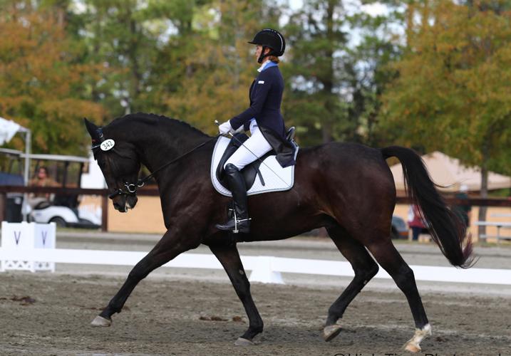 CHP Hosts Autumn Leaves Dressage Championships | Hoofbeats | thepilot.com