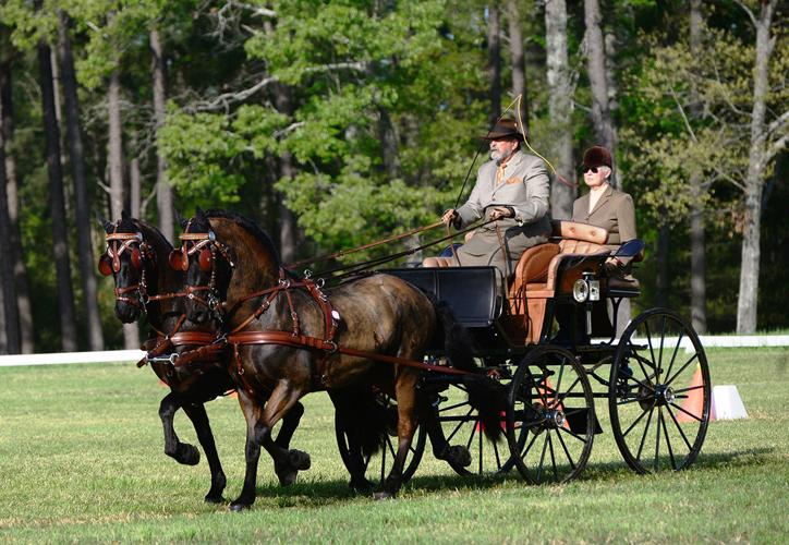 Carolina Horse Park Holds CDE | Sports | thepilot.com