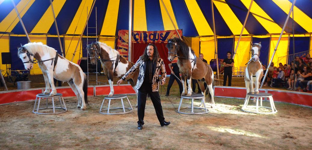 Life Under the Big Top | Gallery | thepilot.com