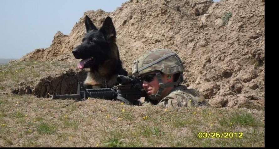 K2-Trained Dogs at Center of Controversy | News | thepilot.com