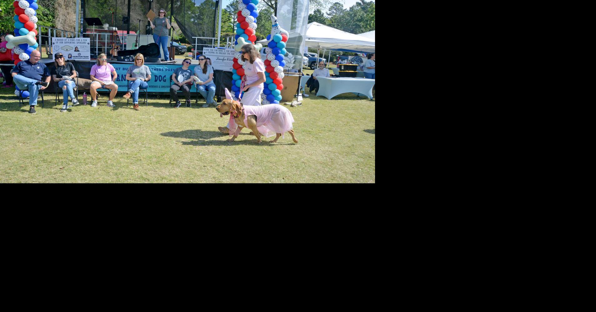 Sandhills Dog Fair | | thepilot.com